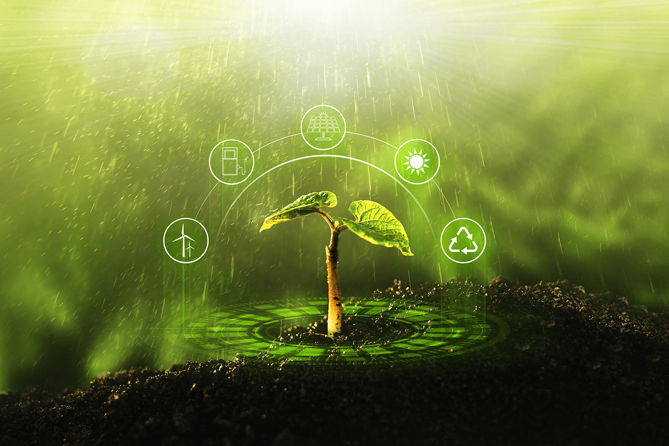 Environmental Influences - BioResilience