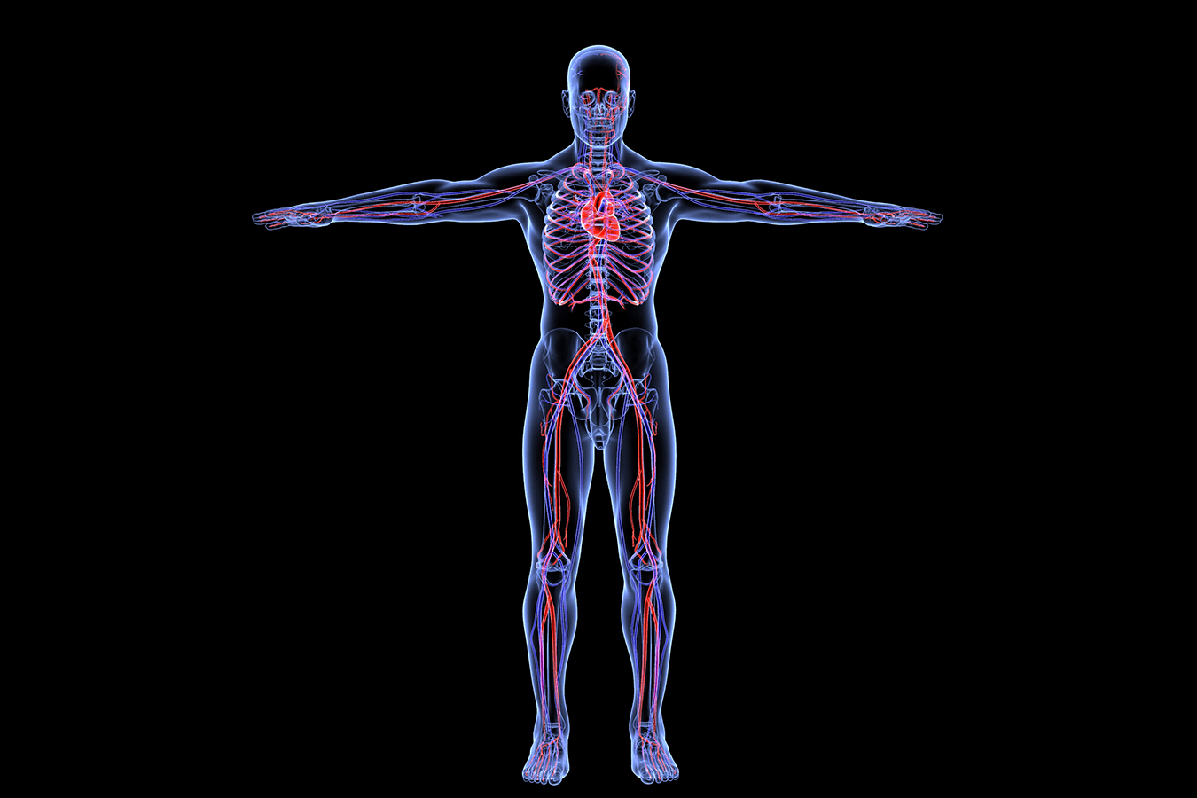 Understanding Structural Integrity for Optimal Health and Resilience ...